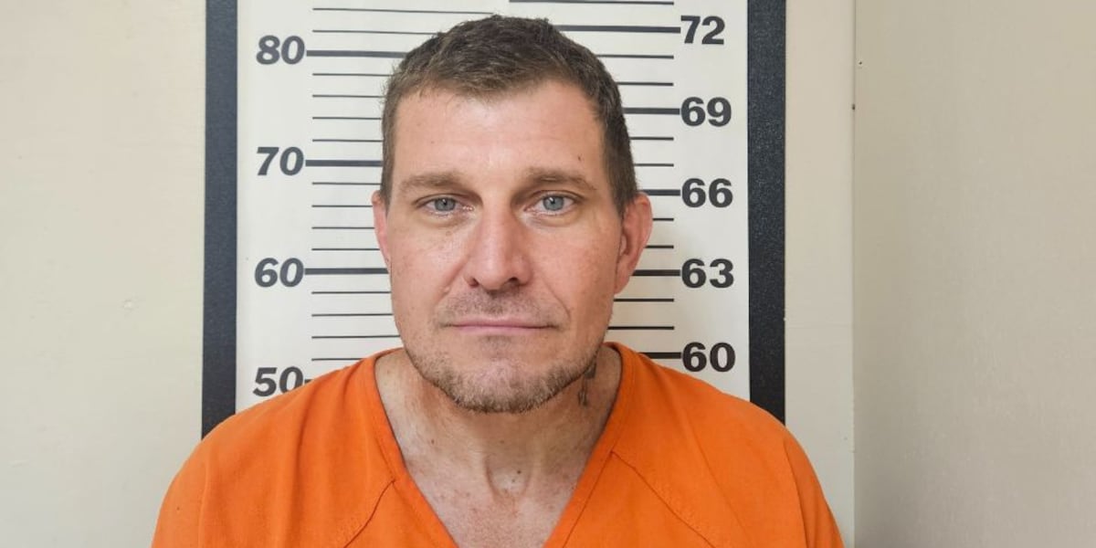 Scott Town guy arrested after police recuperate stolen mini excavator ...